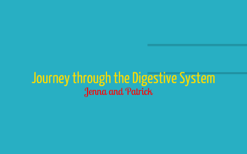 Digestive System by Patrick Small on Prezi