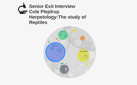 Senior Exit Interview by cole plejdrup on Prezi