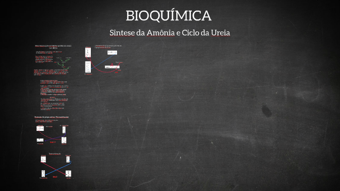 Sintese da Amônia e Ciclo da ureia by José Daniel Lima Filho on Prezi