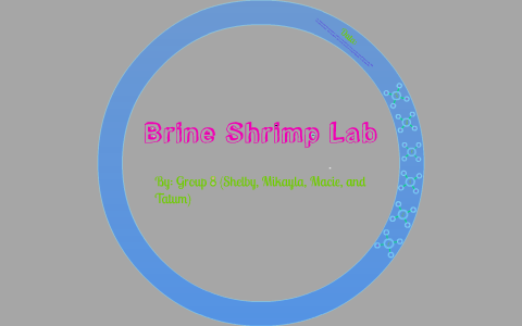 Brine Shrimp Lab by Tatum Clayton on Prezi