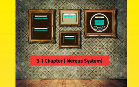 3.1 Chapter ( Nerous System) by Ketty Felix on Prezi