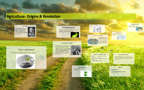 Agriculture- Origins & Revolution by Danielle Howard on Prezi