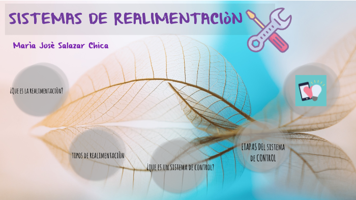 ARTEFACTOS QUE CONTIENEN DE SISTEMAS DE REALIMENTACION by maria jose ...