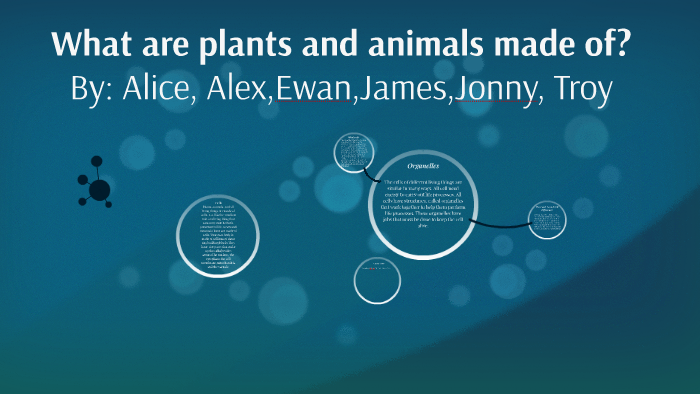 What are plants and animals made of? by Rachael Rodriguez on Prezi