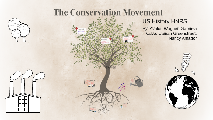 Conservation Movement Wikipedia