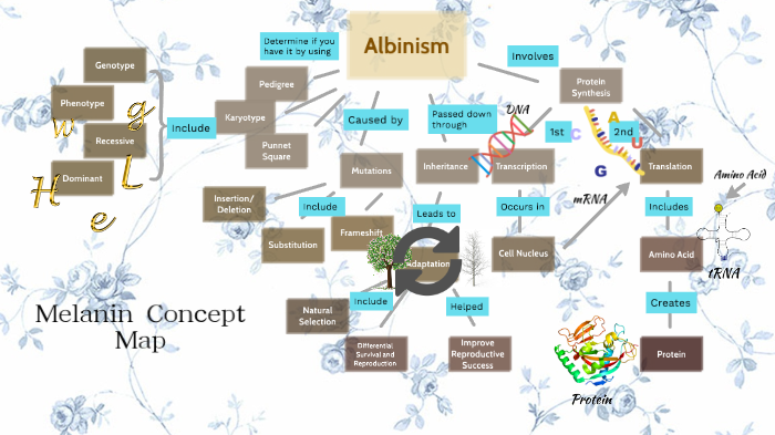 Melanin Concept Map by Lynvy Chang on Prezi