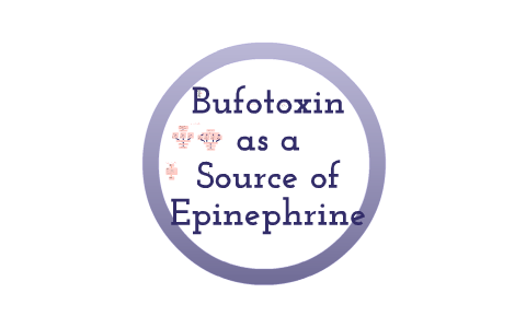 Bufotoxin as a Source of Epinephrine by Gigi Canono on Prezi