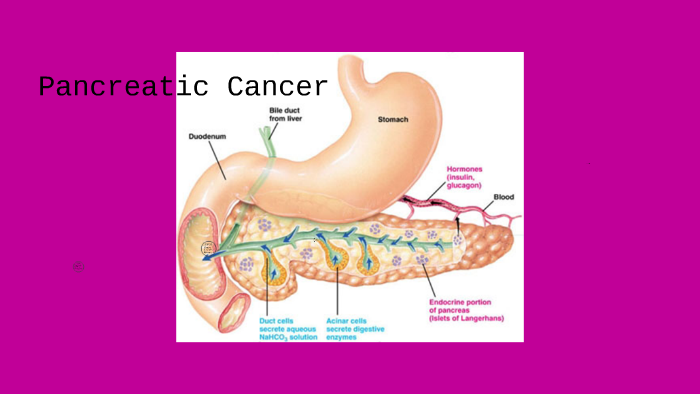 The endocrine glands produce insulin and glucagon. by Benjamin Williams ...