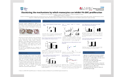 Investigating the mechanisms behind monocyte inhibition of hypoxic ...