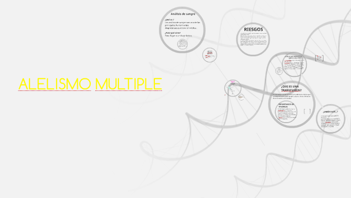 ALELISMO MULTIPLE by Maria Fernandez on Prezi