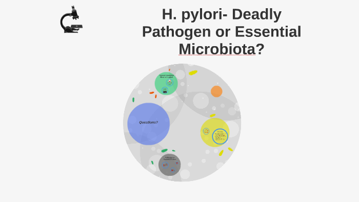 H. Pylori- Deadly Pathogen or Essential Microbiota? by Amani Jones on Prezi