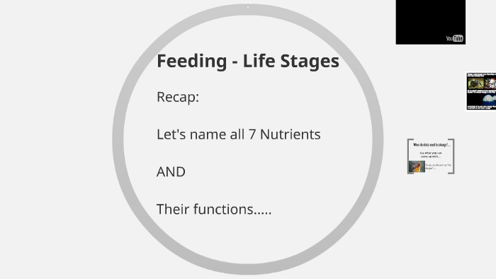 Feeding - Life Stages by Hayley Igbokwe on Prezi