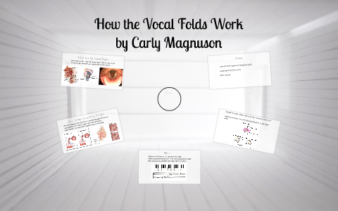 How the Vocal Folds Work by Carly Magnuson on Prezi