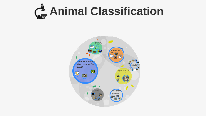 Animal Classification by Allan Qualters on Prezi