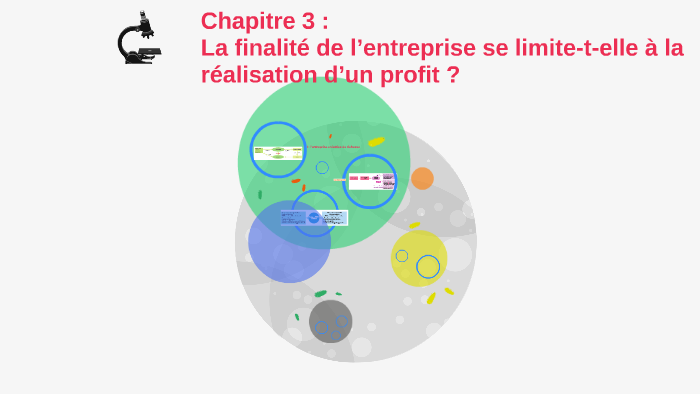 la finalité de l'entreprise by TOUFIK ZAGHLOUL on Prezi