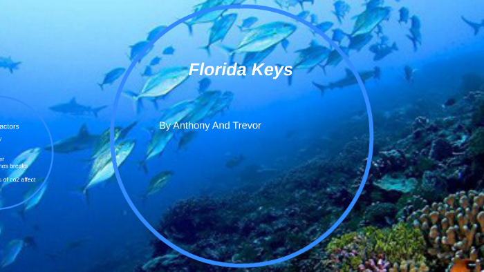 Florida Keys by anthony parnell on Prezi