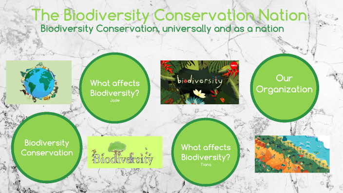 Biodiversity Conservation Organization by Jade Ewings on Prezi