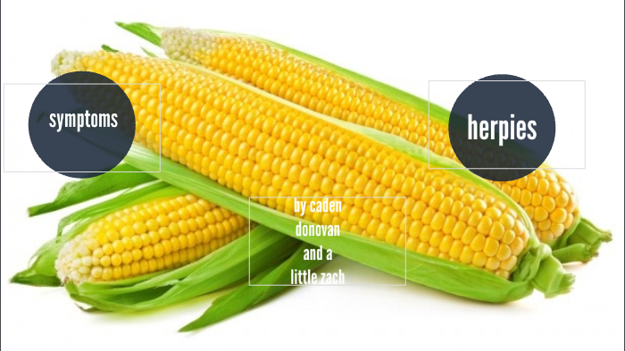 herpies by caden donovan zach by Zachory Koenck on Prezi