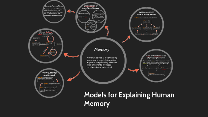 Models for Explaining Human Memory by Mercedes Schwedes on Prezi