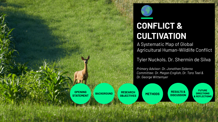 CONFLICT & CULTIVATION by Tyler Nuckols on Prezi