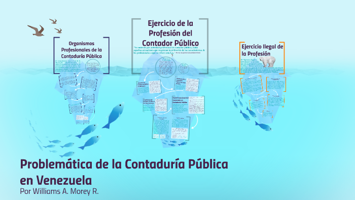 PROBLEMÁTICA DE LA CONTABILIDAD EN VENEZUELA by williams morey on Prezi