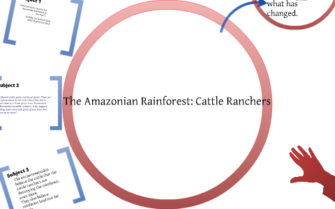 Amazon Rainforest Cattle Ranchers by Hannah Kelly on Prezi