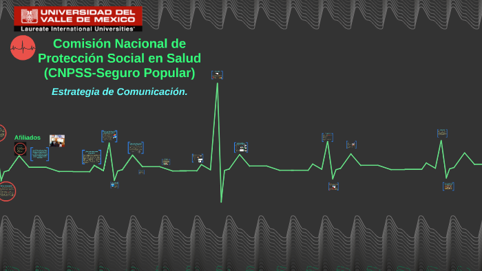 Comisión Nacional de Protección Social en Salud (CNPSS-Segur by Carlos ...