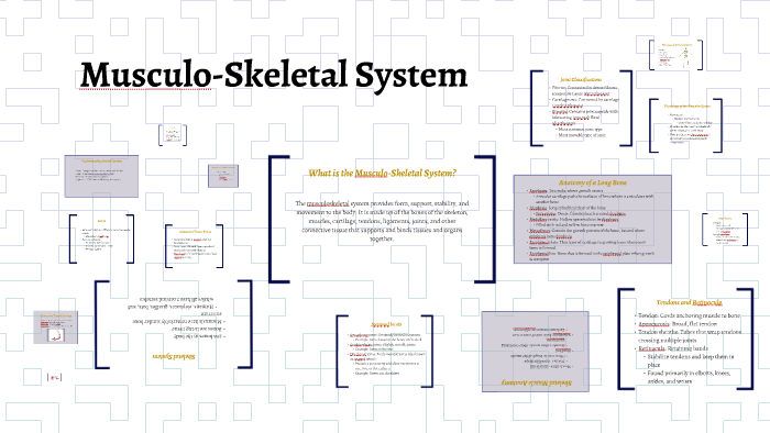 Musculo-Skeletal System by Amanda Florek on Prezi