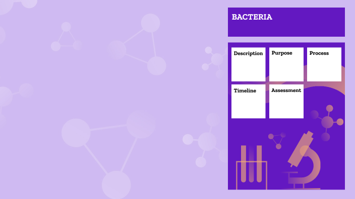 BACTERIA- GRAM+ and GRAM_ by Ankit Gali on Prezi