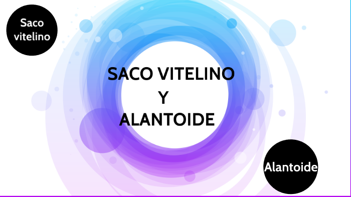 SACO VITELINO Y ALANTOIDE by Mishell Jamile on Prezi
