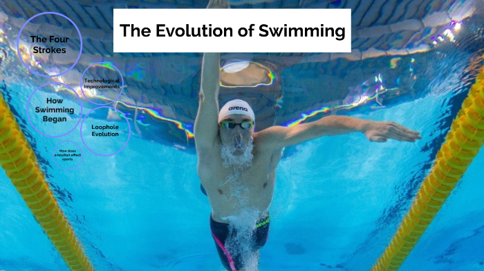 The Evolution of Swimming by Benjamin Clinton on Prezi
