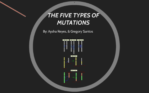 THE FIVE TYPES OF MUTATIONS by Aysha Reyes on Prezi