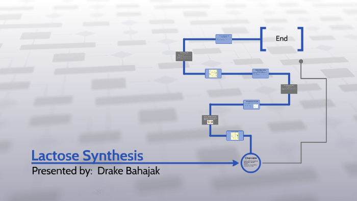 Lactose Synthesis by D Bahajak on Prezi