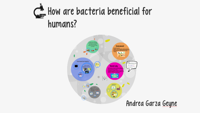 How are bacteria benefitial on humans life? by Andrea Garza Geyne on Prezi
