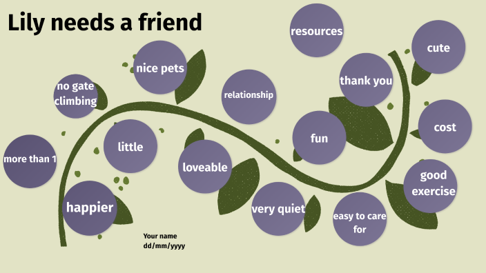 why lily needs a friend by brittany grider on Prezi