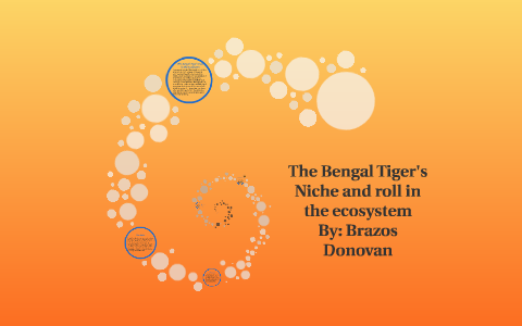 The Tigers Niche and roll in the ecosystem by Brazos Donovan on Prezi