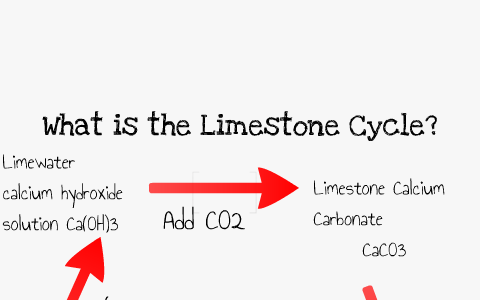 The Limestone Reaction Cycle. By Claudia Rowarth by Claudia-Rose ...