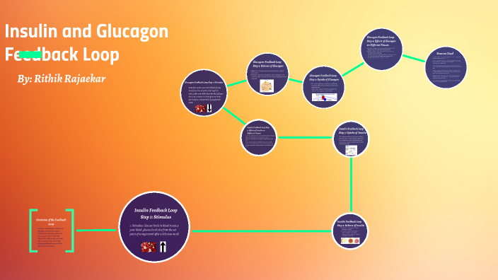 Insulin and Glucagon Feedback Loops by Rithik Rajasekar on Prezi