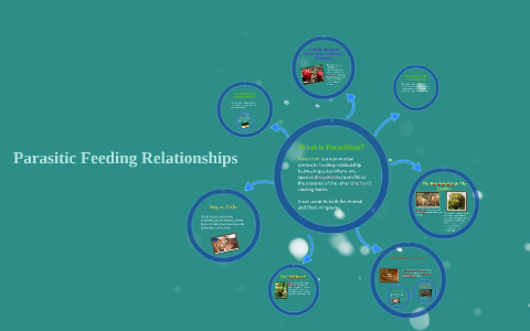 Parasitic Feeding Relationships by Patrina Gosine on Prezi