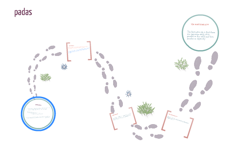 panda mind map by aemelia turton on Prezi