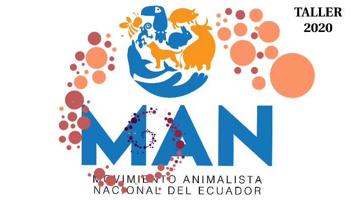 ¿Qué es MAN? by Andrea Molina on Prezi