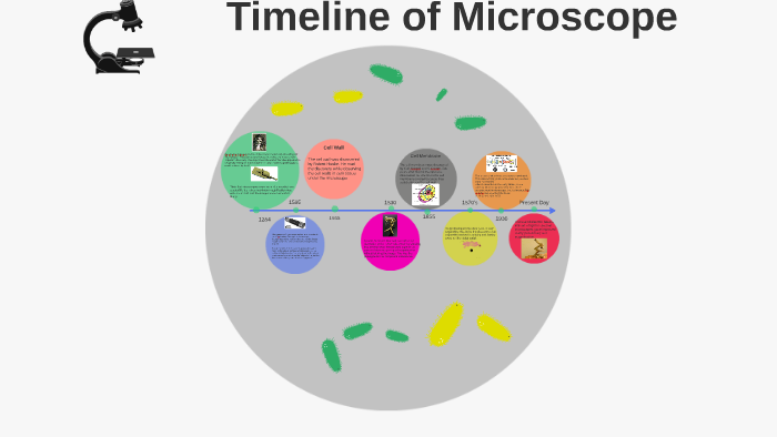 Timeline Of Microscopes by Negar Esmaeili on Prezi
