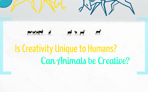 Is Creativity Unique to Humans? Can Animals be Creative? by Romaisa K ...