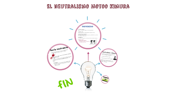 El neutralismo Motoo kimura by maria garcia alvaro on Prezi