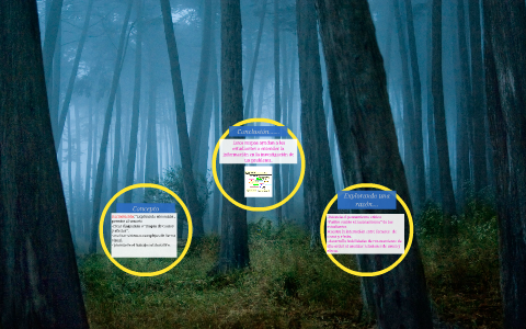 Herramienta: "Explicando una razón by on Prezi