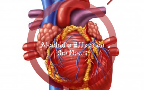 Alcohol's effect on the heart by Kirsten Joyce on Prezi