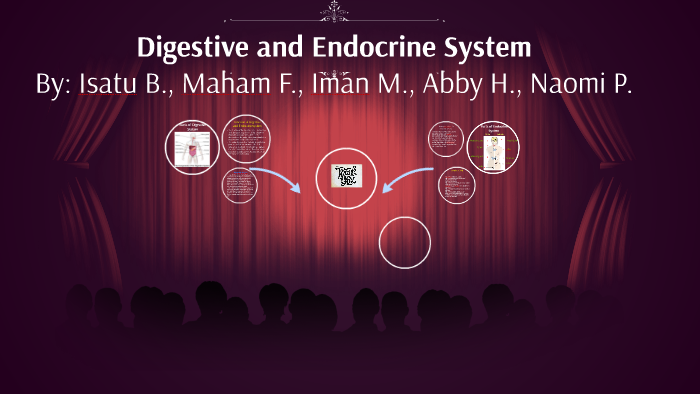Digestive and Endocrine System by Isatu 123 on Prezi