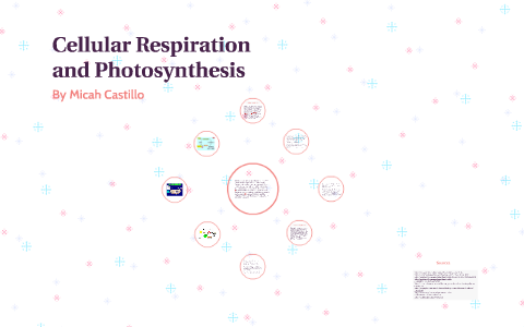 Matter and Energy Transformations by Micah Castillo on Prezi