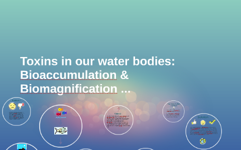 Toxins in our water bodies: Bioaccumulation & Biomagnificati by Sinthu ...