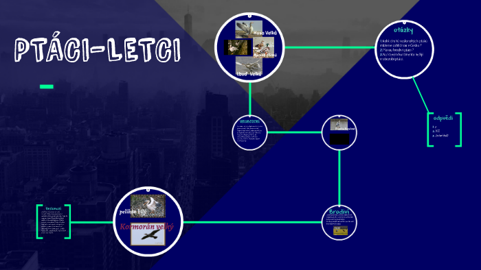 PTÁCI-LETCI by prezentace ukoly on Prezi